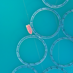 Beacon Development | KAUST Innovation