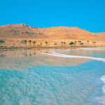 Beacon Development | KAUST Innovation