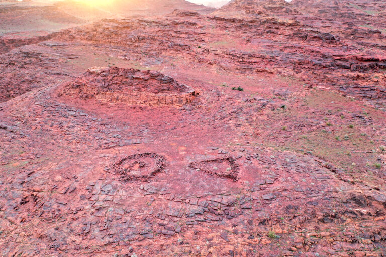 Thya Tech computer vision: more than meets the eye | KAUST Innovation